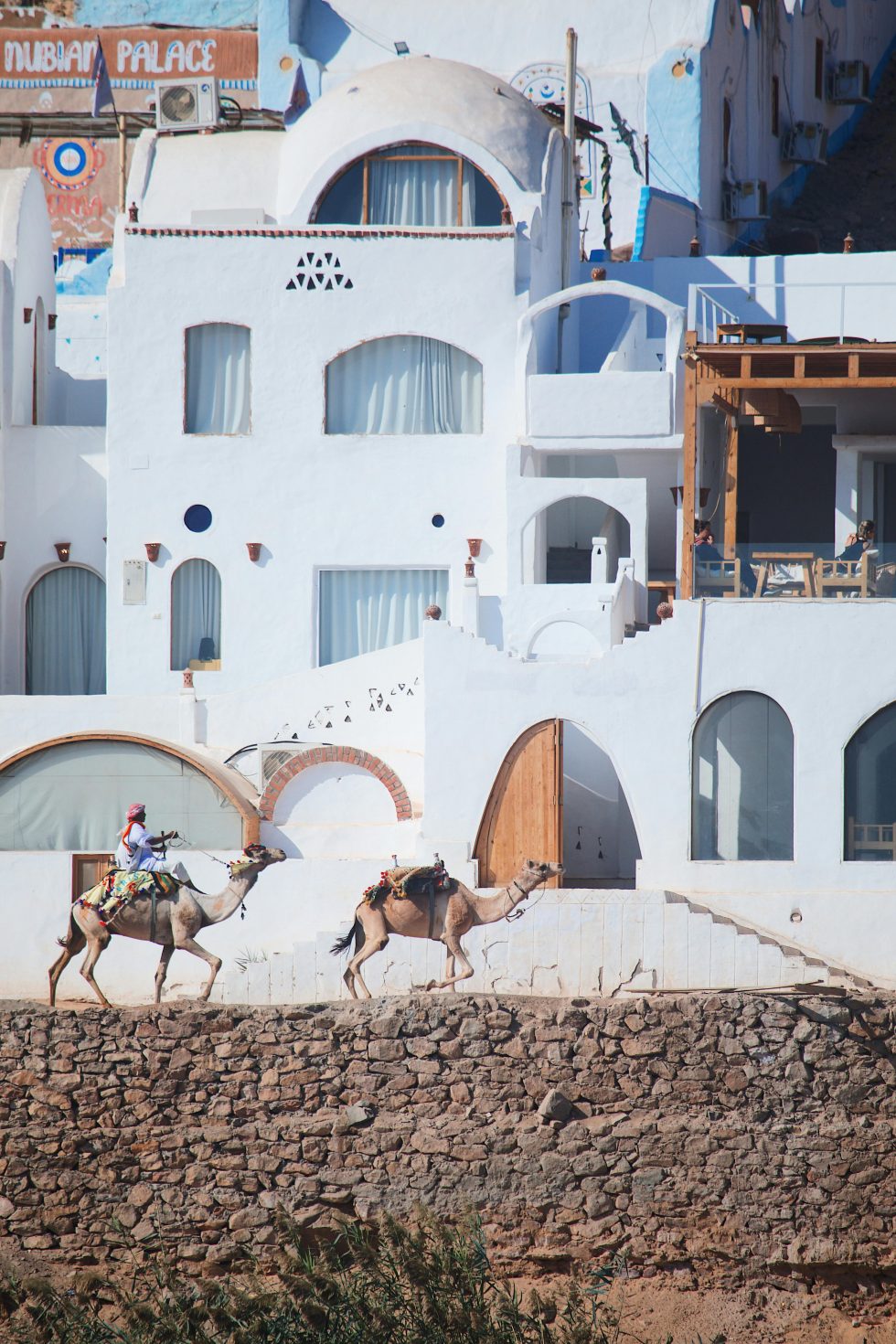 The Fascinating World of the Nubian People